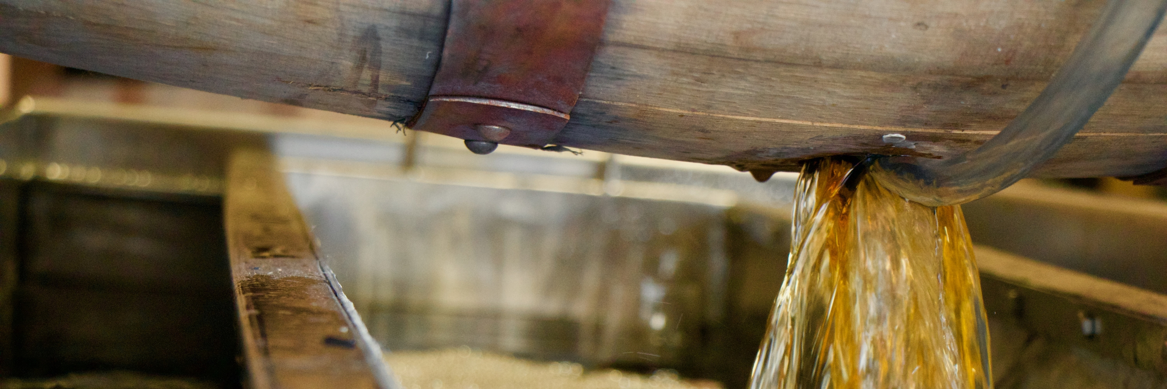 Whisky - Wild Life Distillery